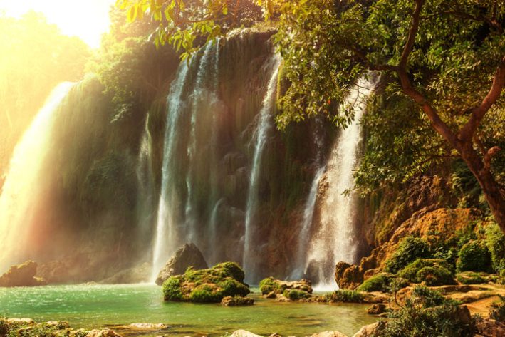 Meditation | Embrace Nature with all Five Senses!