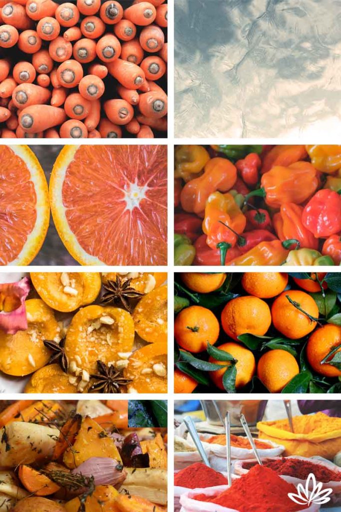 Chakra Foods for Healing & Health - Blog - Deborah King