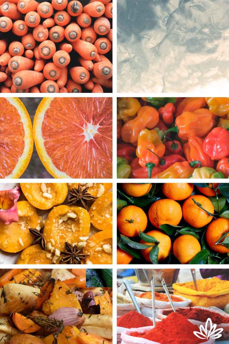 Chakra Foods for Healing & Health - Blog - Deborah King