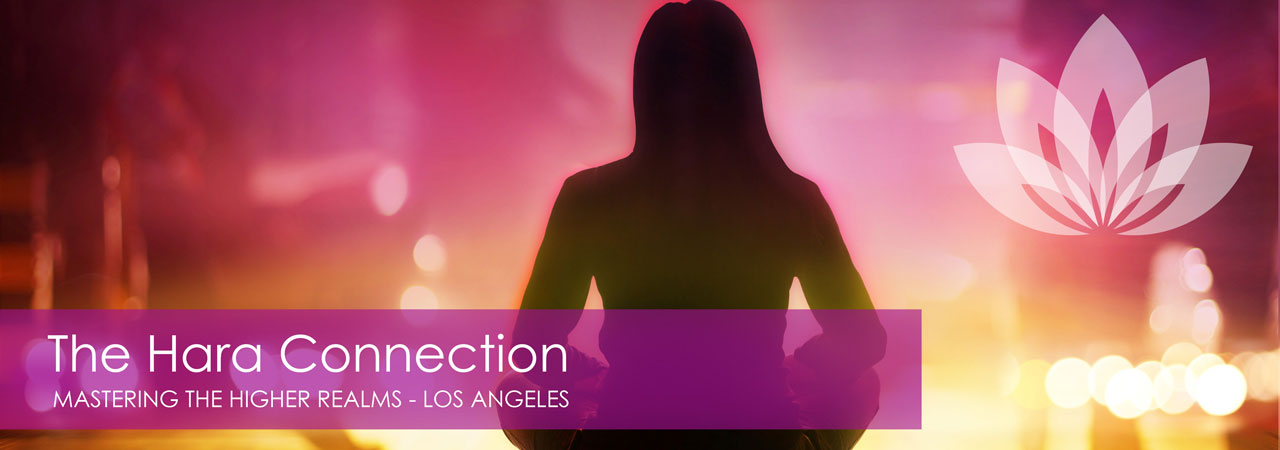 The Hara Connection Video Workshop with Master Healer Deborah King