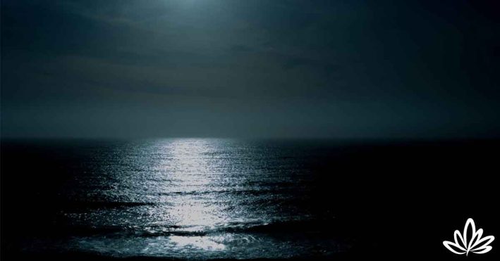 Full Moon Magic: Harness Lunar Energy for Healing - Blog - Deborah King