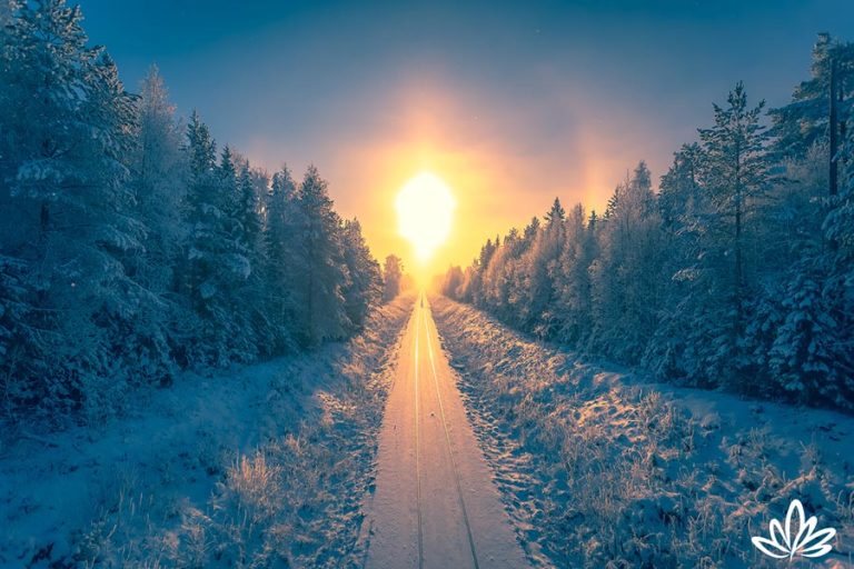Healing with the Winter Solstice - Blog Article - Deborah King