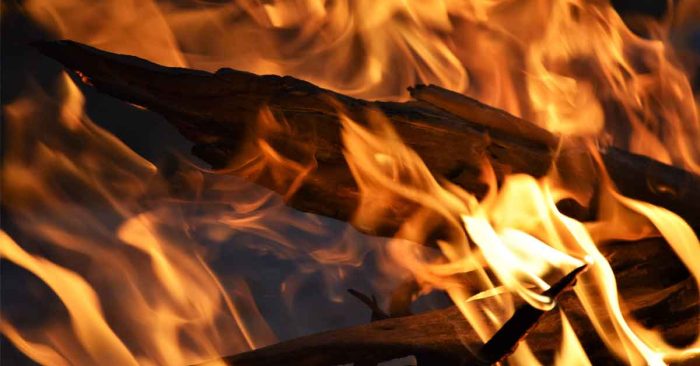 Winter Solstice Traditions - Blog Article - Deborah King