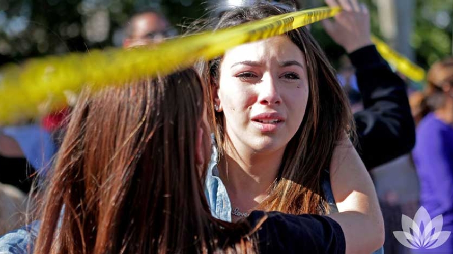 Only in America: Gun Horror - Blog - Deborah King