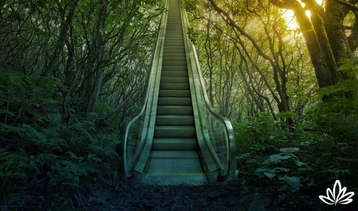 How To Ascend To Higher Realms - Deborah King