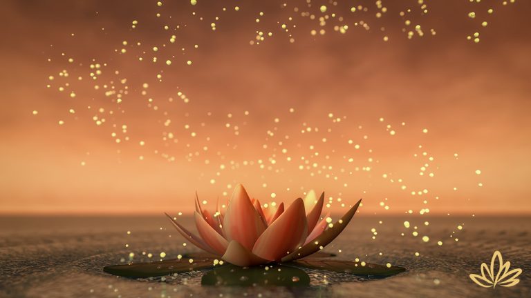 Part 1: Discover Your Life Purpose by Aligning With Your Hara Line ...