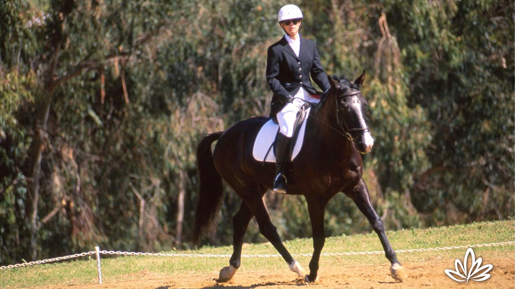 Ode to Influence – my forever friend - Deborah King